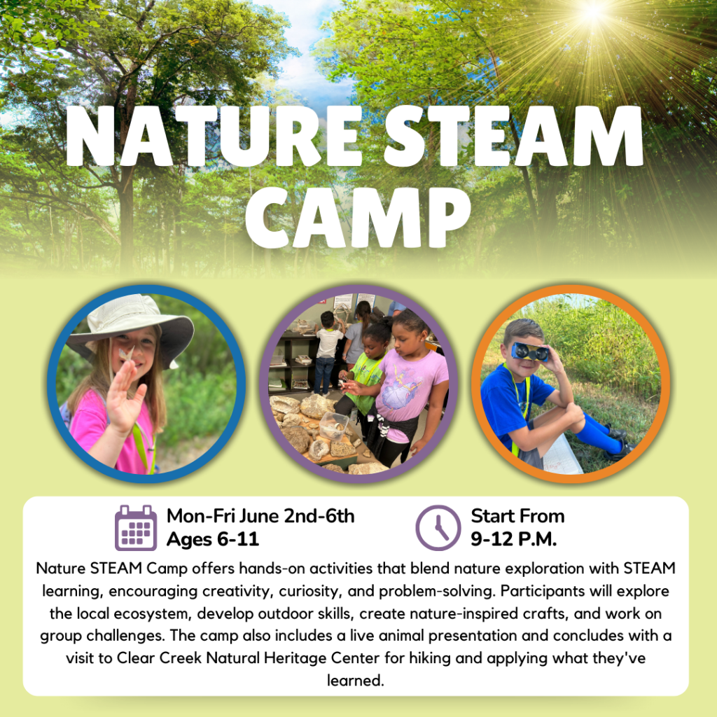 Nature STEAM Camp - Explorium